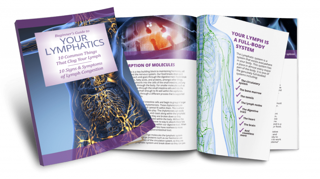 Beginner's Guide to Your Lymphatics - Dr. Christine Schaffner